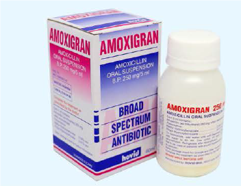 AMOXIGRAN 250MG Hovid (B/60ml) - បាយមេដ ខេមបូឌា - Buymed Cambodia ...