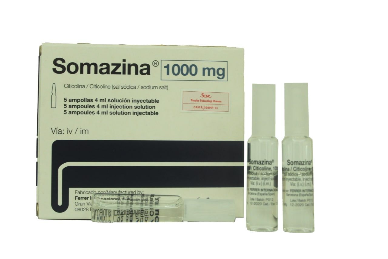 Somazina Inj 1000 Ferrer International (B/5 ampoules)... - បាយមេដ ...