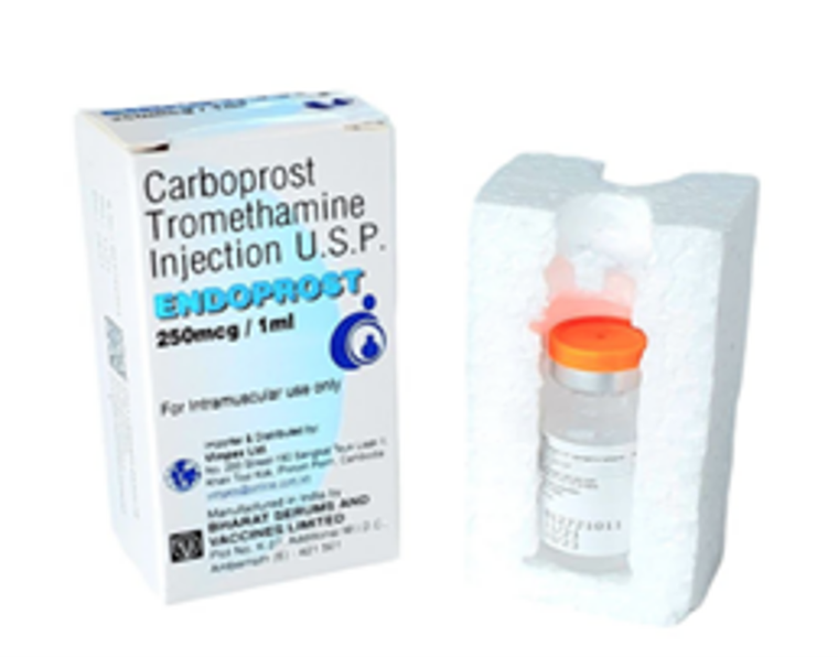 Endoprost 250mcg/ml BSV Pharma (B/1 vial) - បាយមេដ ខេមបូឌា - Buymed ...