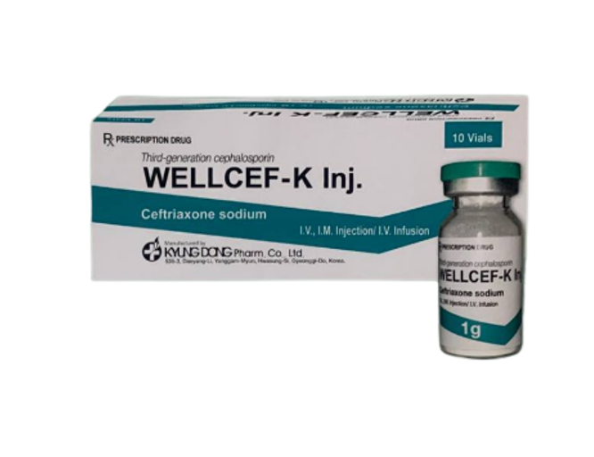 Wellcef-k ceftriaxone 1gr kyung dong (box/10vial/1gr) - បាយមេដ ខេមបូឌា ...