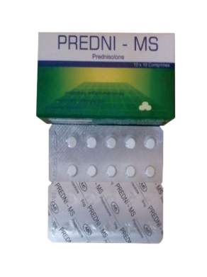 Predni-MS 5mg MS (B/10x10 Tabs) - បាយមេដ ខេមបូឌា - Buymed Cambodia ...