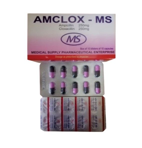 Amclox-MS 500mg MS (B/10x10 Tabs) - បាយមេដ ខេមបូឌា - Buymed Cambodia ...