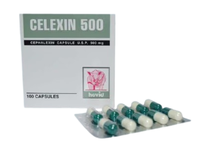 CELEXIN 500MG Hovid (10Tabx10/Box) - បាយមេដ ខេមបូឌា - Buymed Cambodia ...