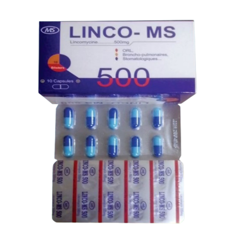 Linco-MS lincomycine 500mg MS (box/100cap) - បាយមេដ ខេមបូឌា - Buymed ...